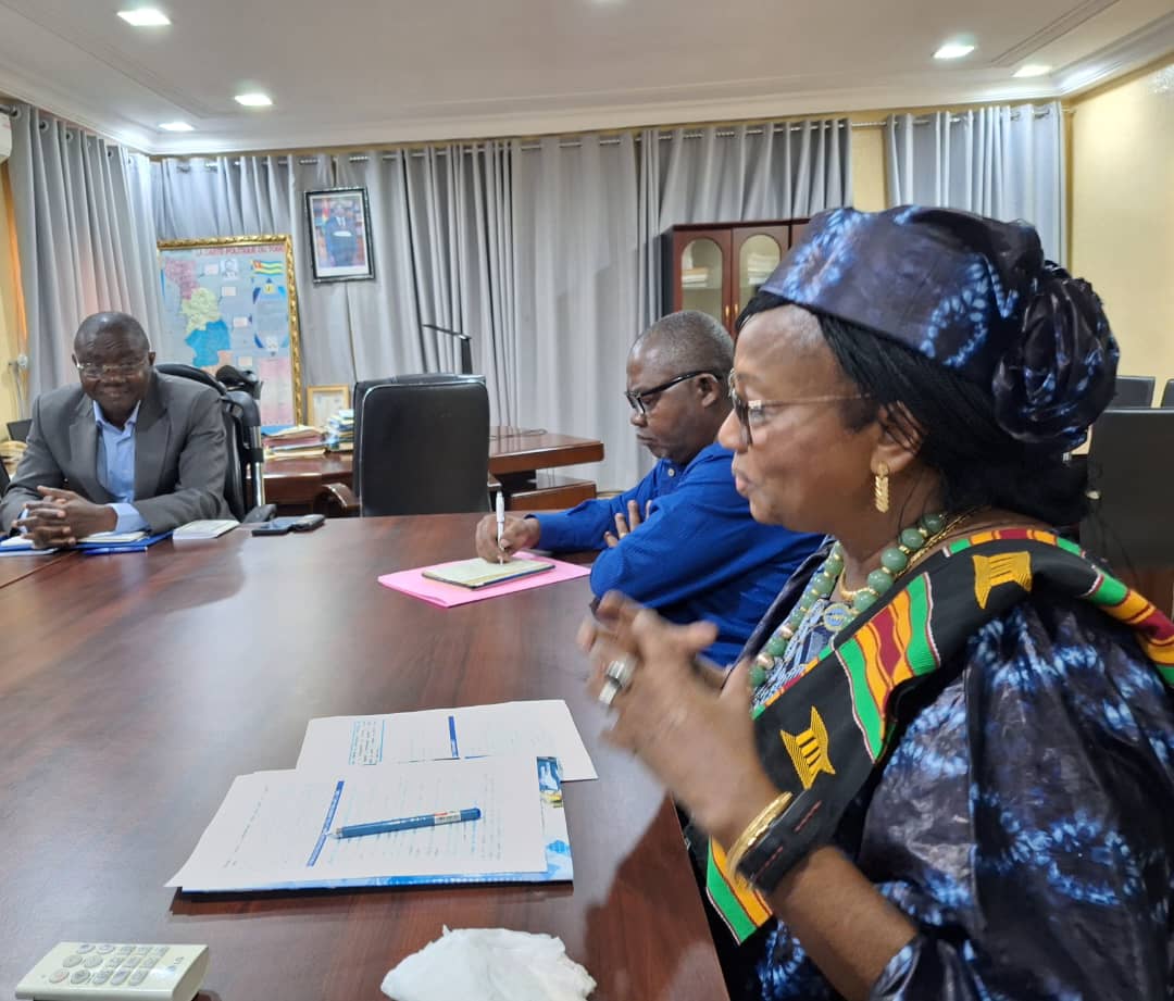 Le ministre Awaté Hodabalo a reçu à son cabinet à Lomé la représentante ...